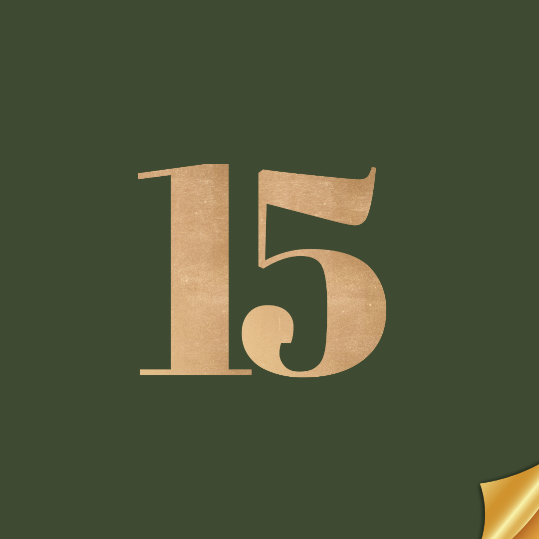 Day 15 of the Dotique Advent Calendar: NEW BRAND JOULES